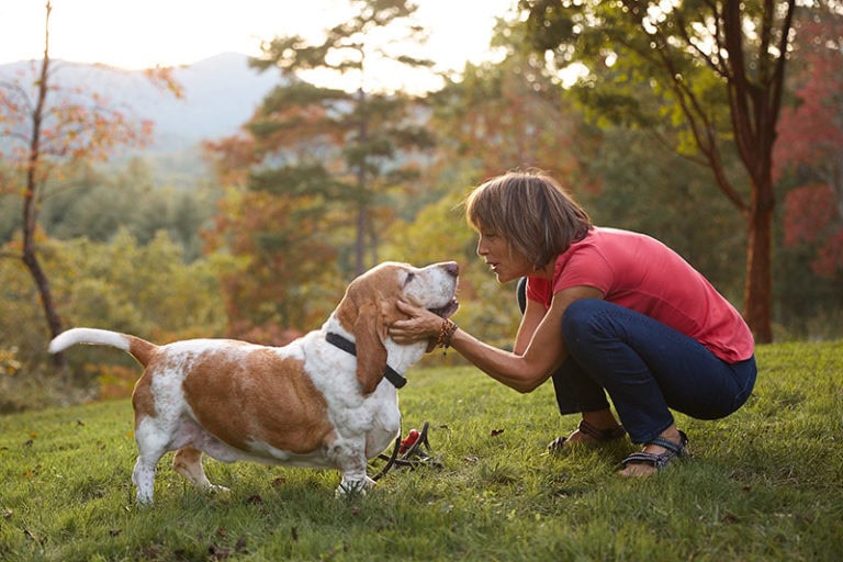 How Can We Learn From Our Dogs And Cats? An Interview With Asheville's ...