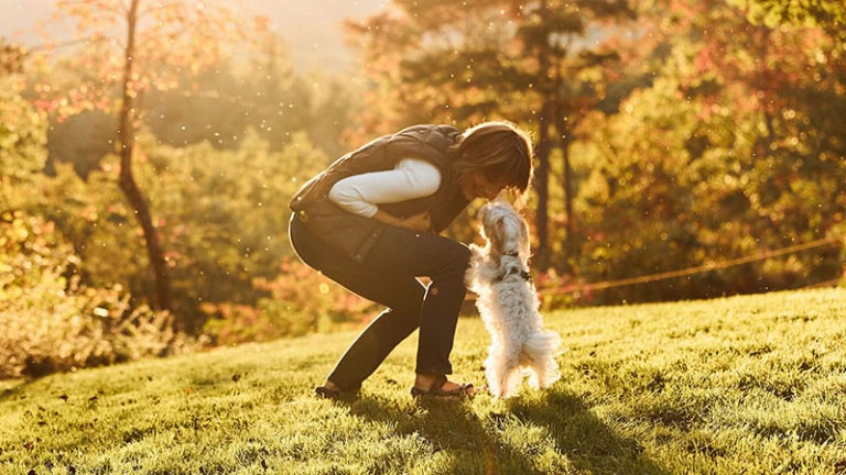 Why I Call Myself An Animal Interpreter | Sunvet Animal Wellness