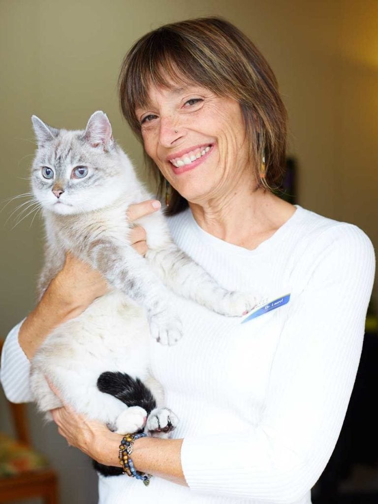 Our Team | Sunvet Animal Wellness